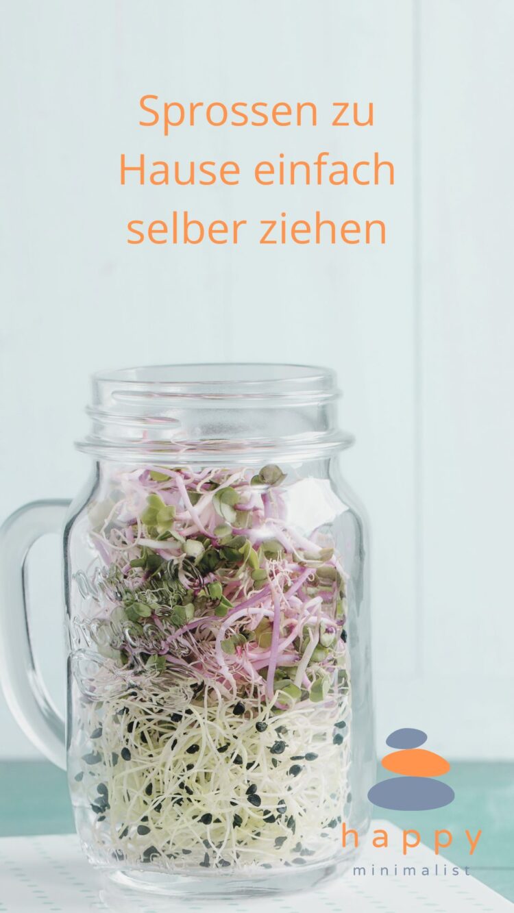 Sprossen ziehen: Gesundes Grün aus der eigenen Küche 🍀